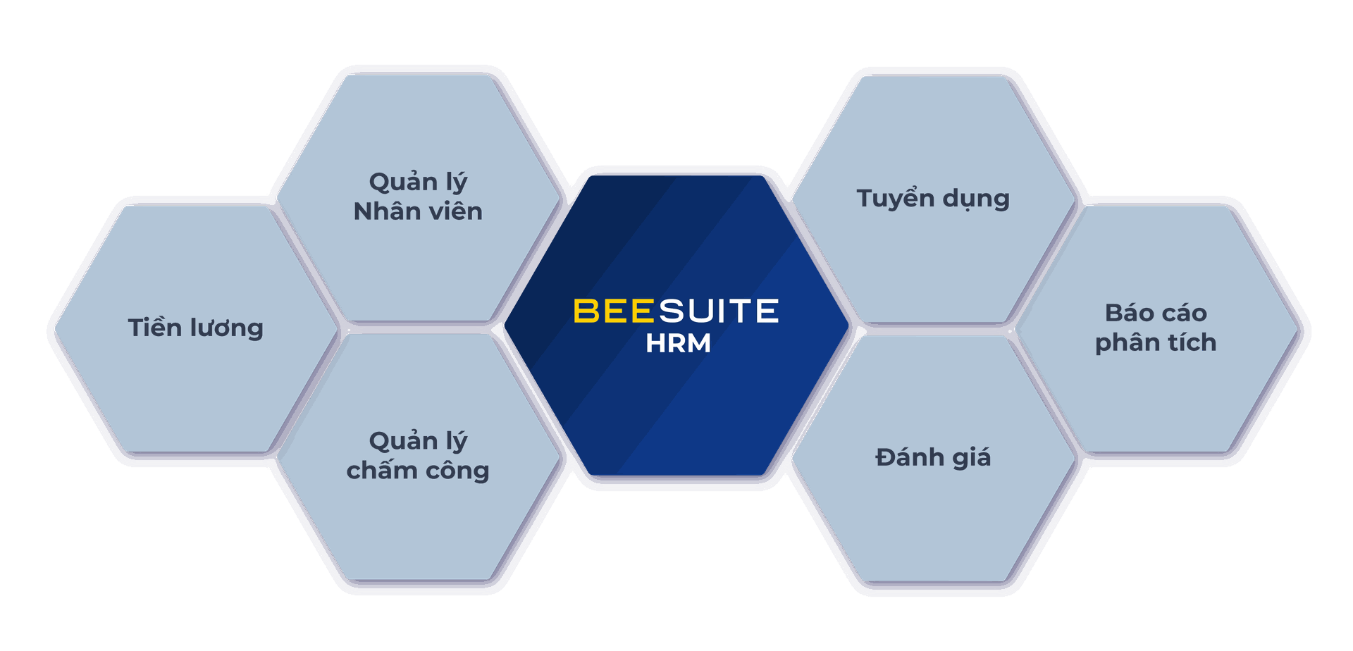 HRM | BeeSuite