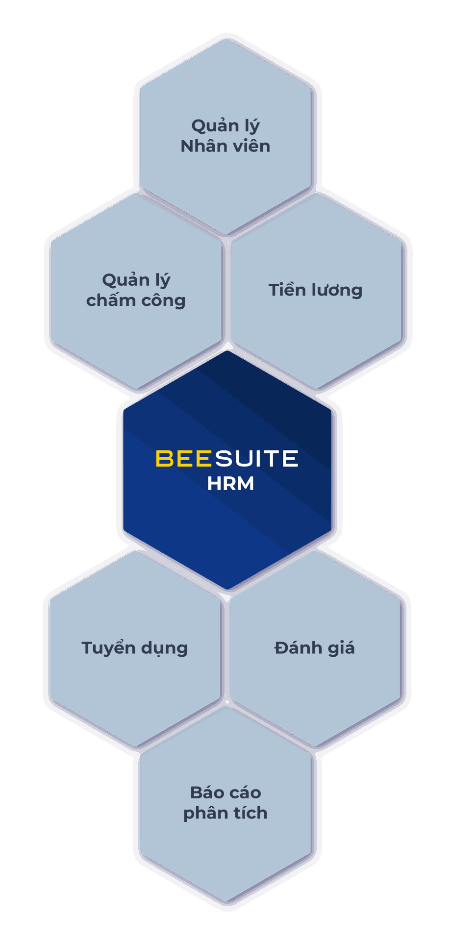 HRM | BeeSuite
