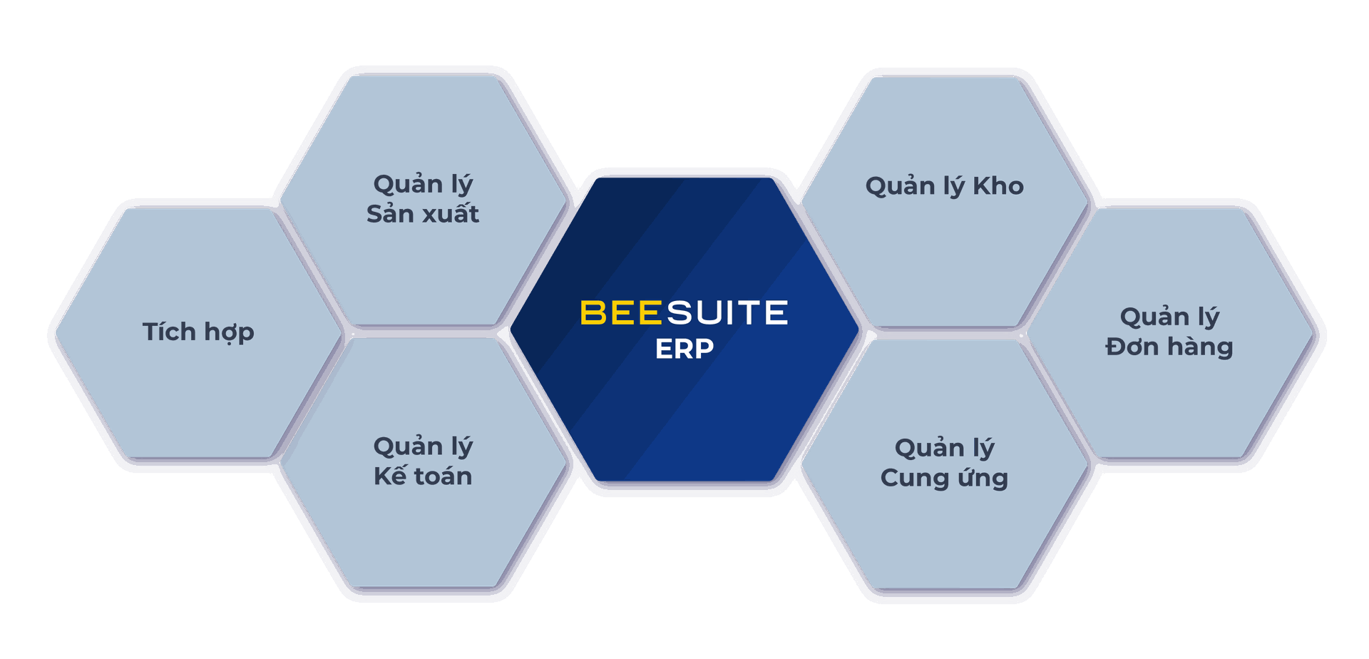 BeeSuite ERP - Nền tảng quản trị doanh nghiệp hiện đại